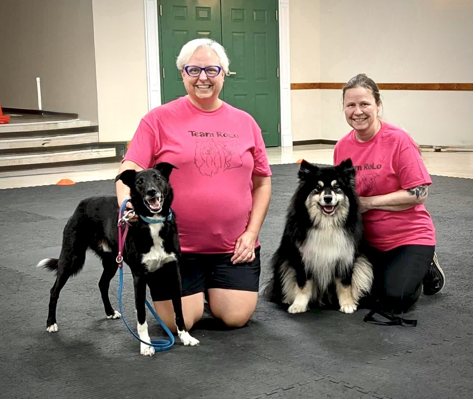 Elements Rally Collective – Elements Petcare and Training